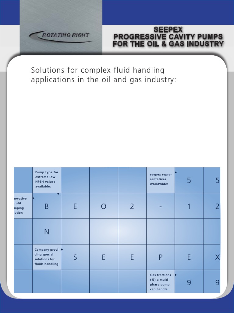 12 RR Seepex Pumps For The Oil & Gas Industry Brochure | PDF | Pump ...