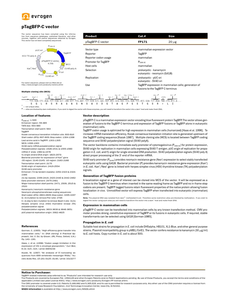pTagBFP-C Vector - Evrogen | PDF | Plasmid | Gene Expression
