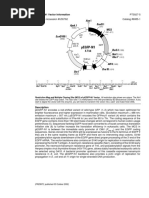 pCDFDuet-1 Map PDF | PDF | Vector (Molecular Biology) | Molecular Cloning
