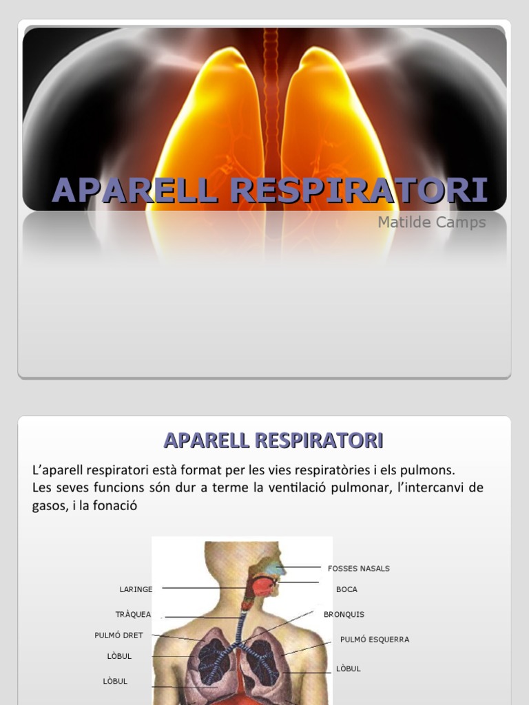 Aparell Respiratori | PDF