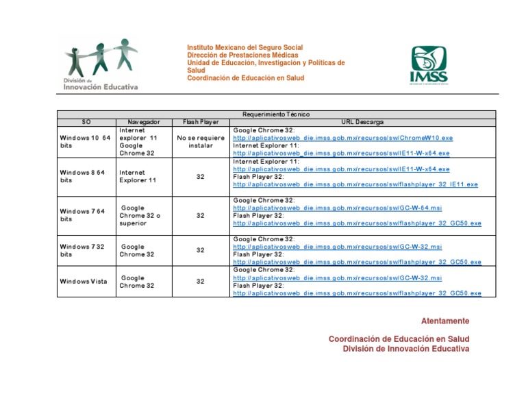 Requerimiento Técnico | PDF | explorador de Internet | Software