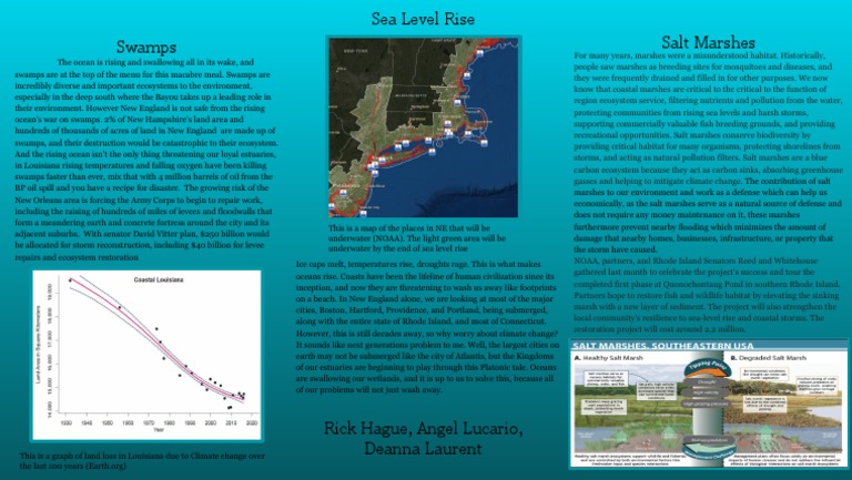 Template Presentation | PDF | Marsh | Swamp