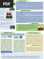 Mol An Óige 3 - PPT - Gleann Álainn | PDF