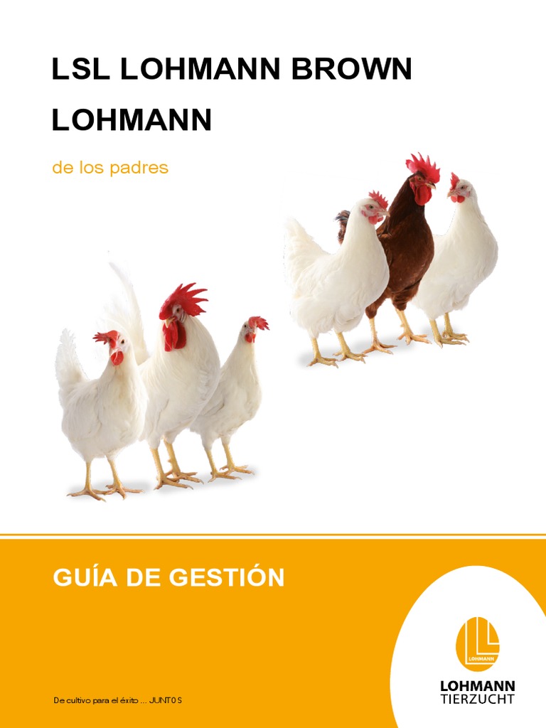 Guía de Gestión para Lohmann Brown | PDF | Nutrición | Dieta y nutrición
