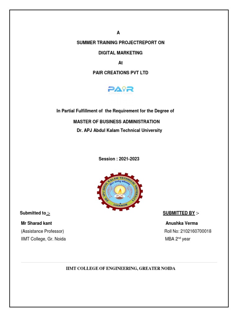 Anushka Final | PDF | Digital Marketing | Feasibility Study