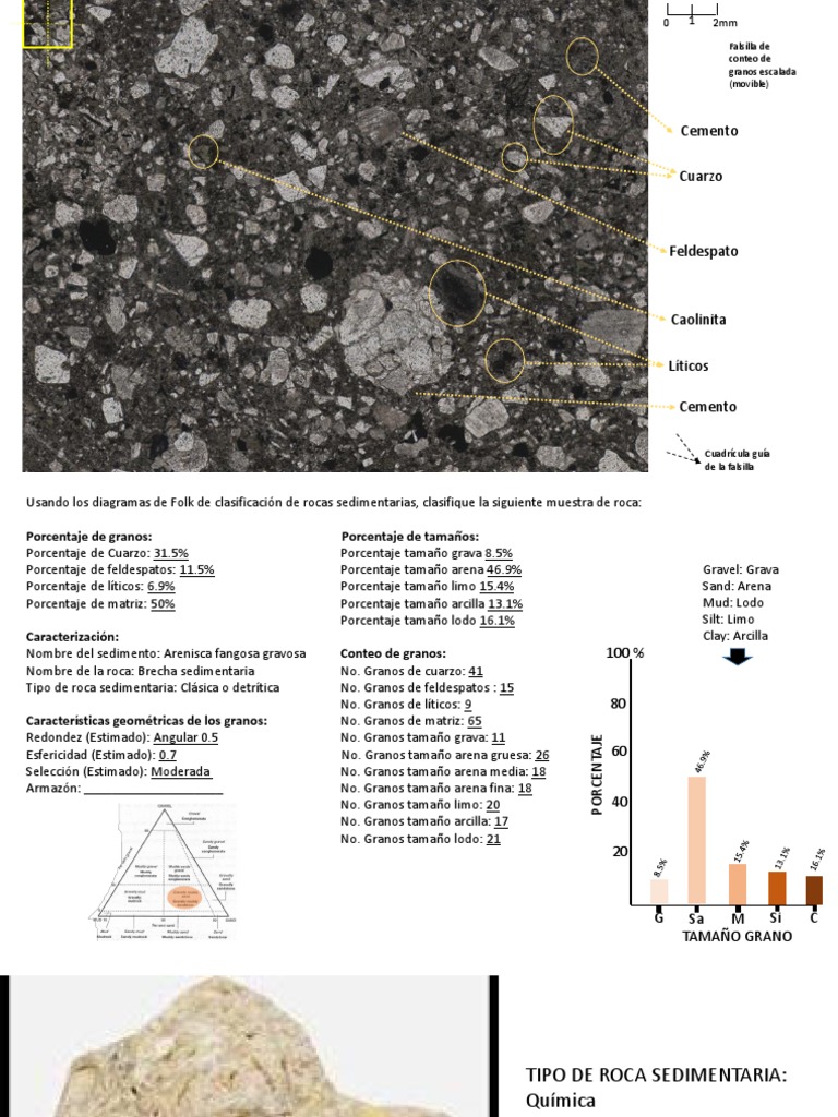 Taller Rocas Sedimentarias | PDF | Roca clástica | Arenisca
