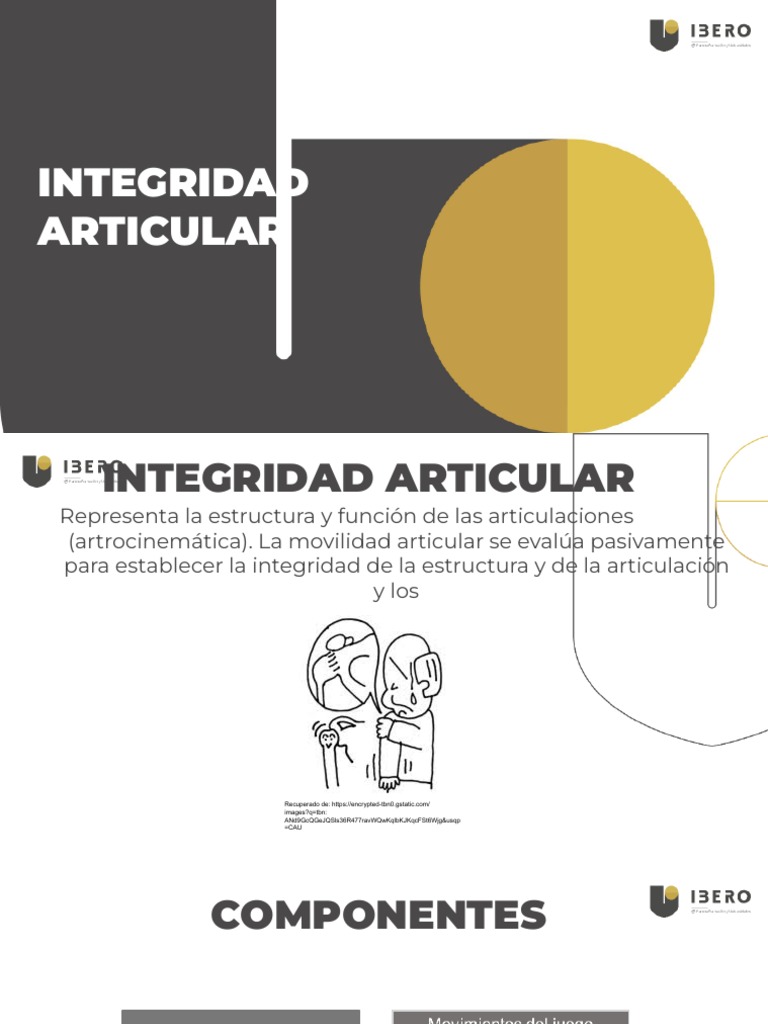 Integridad Articular | PDF
