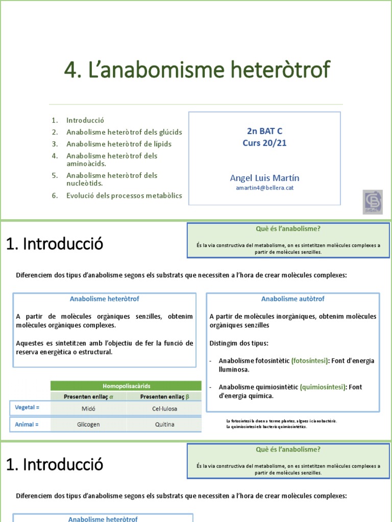 L'Anabolisme Heteròtrof | PDF