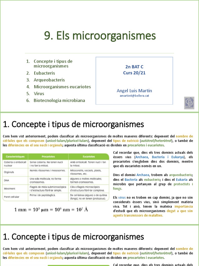Els Microorganismes | PDF