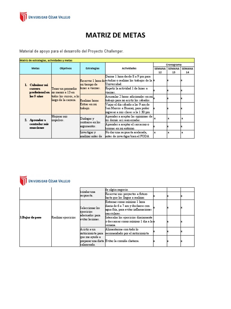 Matriz de Metas 13 | PDF