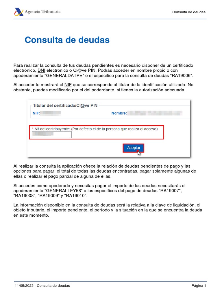Consulta de Deudas | PDF | Tarjeta de débito | Informática