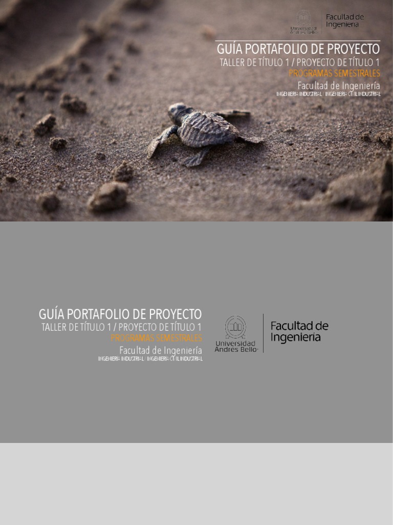 Guía Alumno Proyecto Taller 1 Semestral | PDF