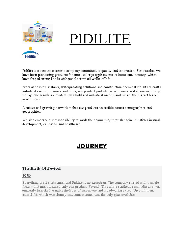 Pidilite 1 | PDF | Brand | Adhesive