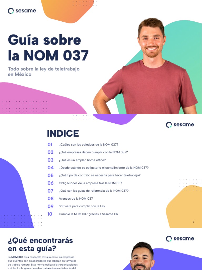 Guía Completa de la NOM 037 | PDF | Business | Economias