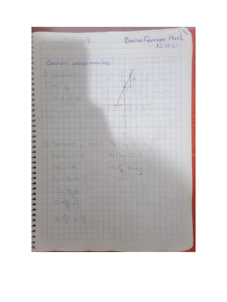 Procedimientos. Braulio-Perez | PDF