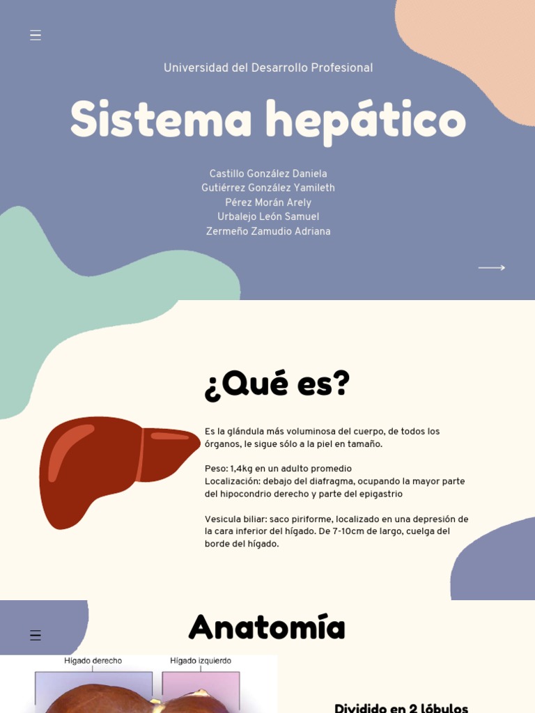 Sistema hepático | PDF | Hepatitis | Hepatitis C