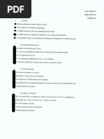 Anatomie du diaphragme stylien | PDF | Tête et cou chez l'humain ...