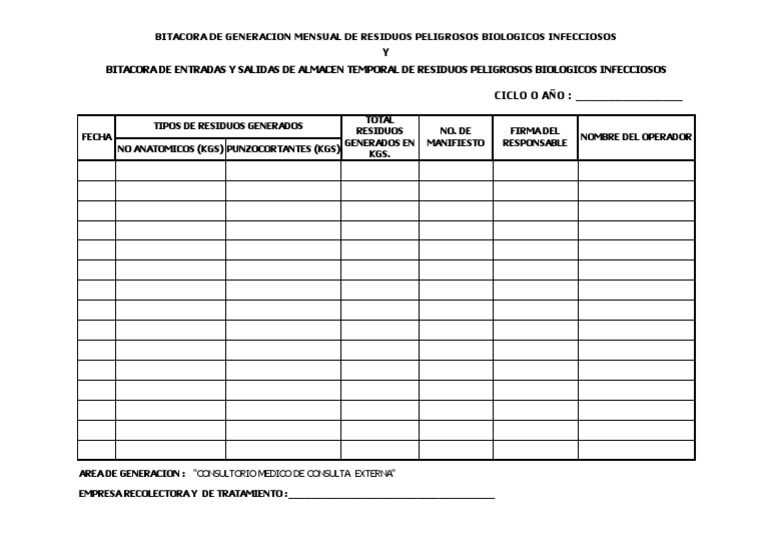 Bitácora de RPBI | PDF