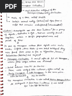 Fine Art Short Notes Class 11 Handwritten by Team Desire IAS | PDF