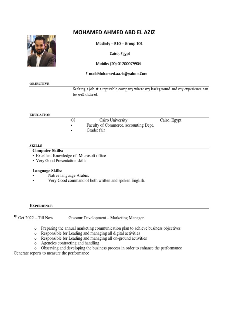 Mohamed Ahmed Abdel Aziz's CV | Download Free PDF | Digital Marketing ...