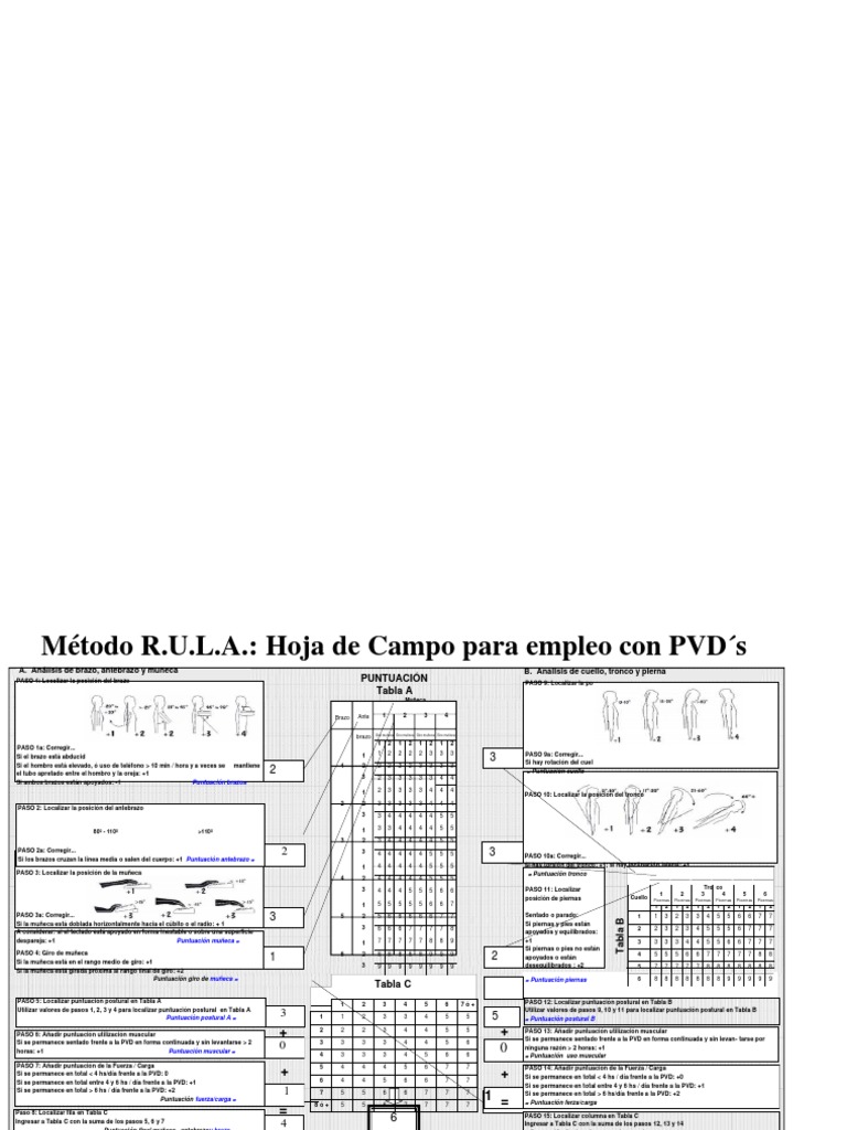 Metodo Rula Seguridad | PDF | Factores humanos y ergonomía