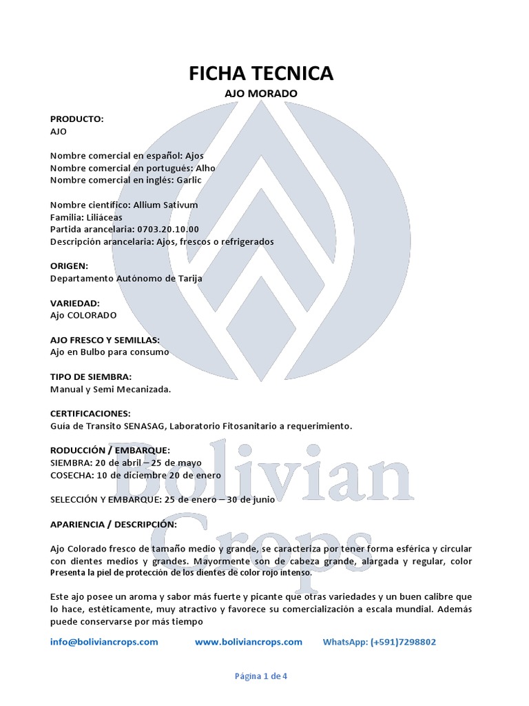 Ficha Tecnica Ajo Colorado Tarija Cosecha 2022 2023 Mayo23 | PDF | Ajo ...