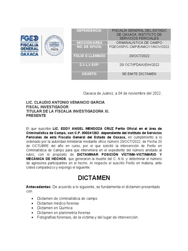 Dictamen Mecanica de Hechos, Posicion Victima - Victimario | PDF