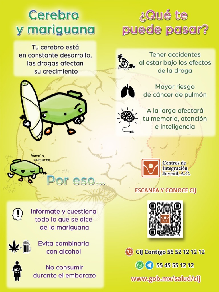 Cerebro Y Mariguana Pdf