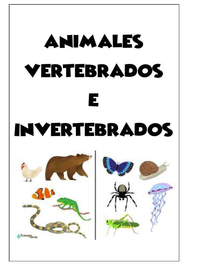 Animales Vertebrados e Invertebrados | PDF