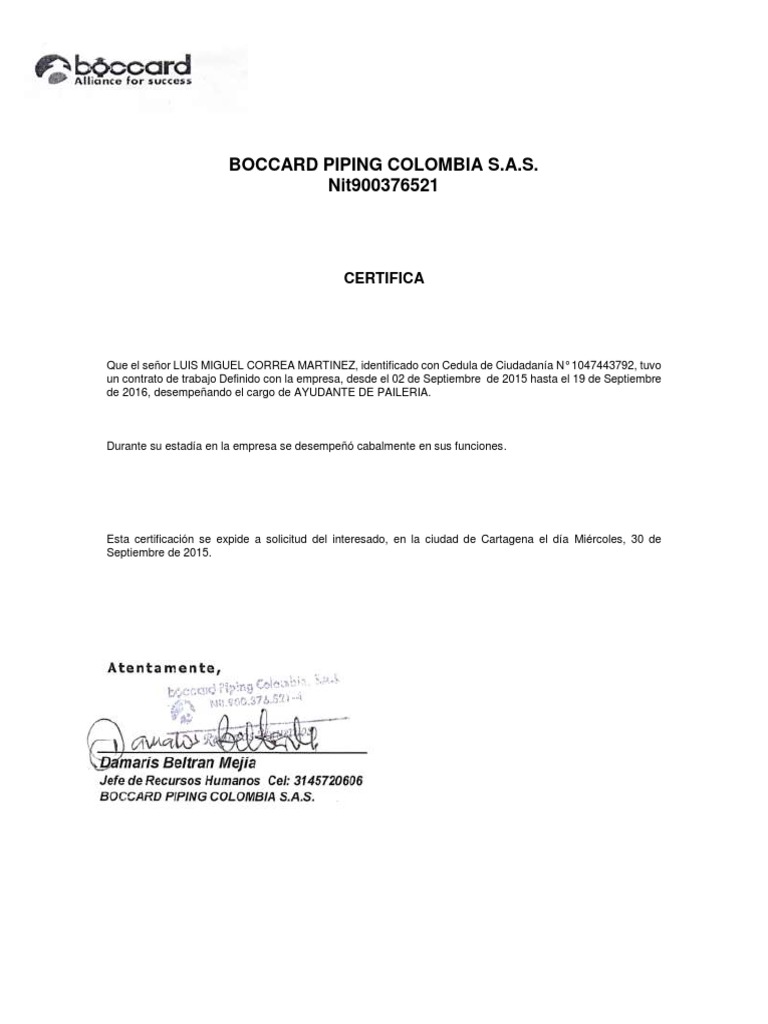 Boccard Luis Miguel Correa | PDF