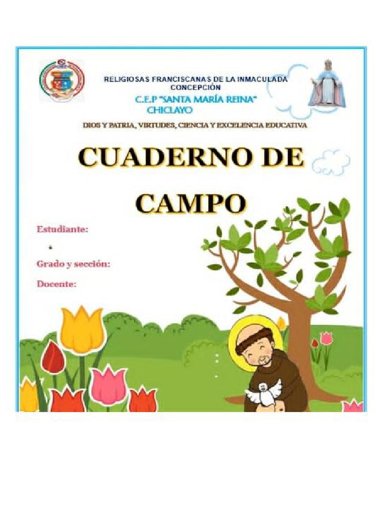 Cuaderno de Campo Minedu | PDF