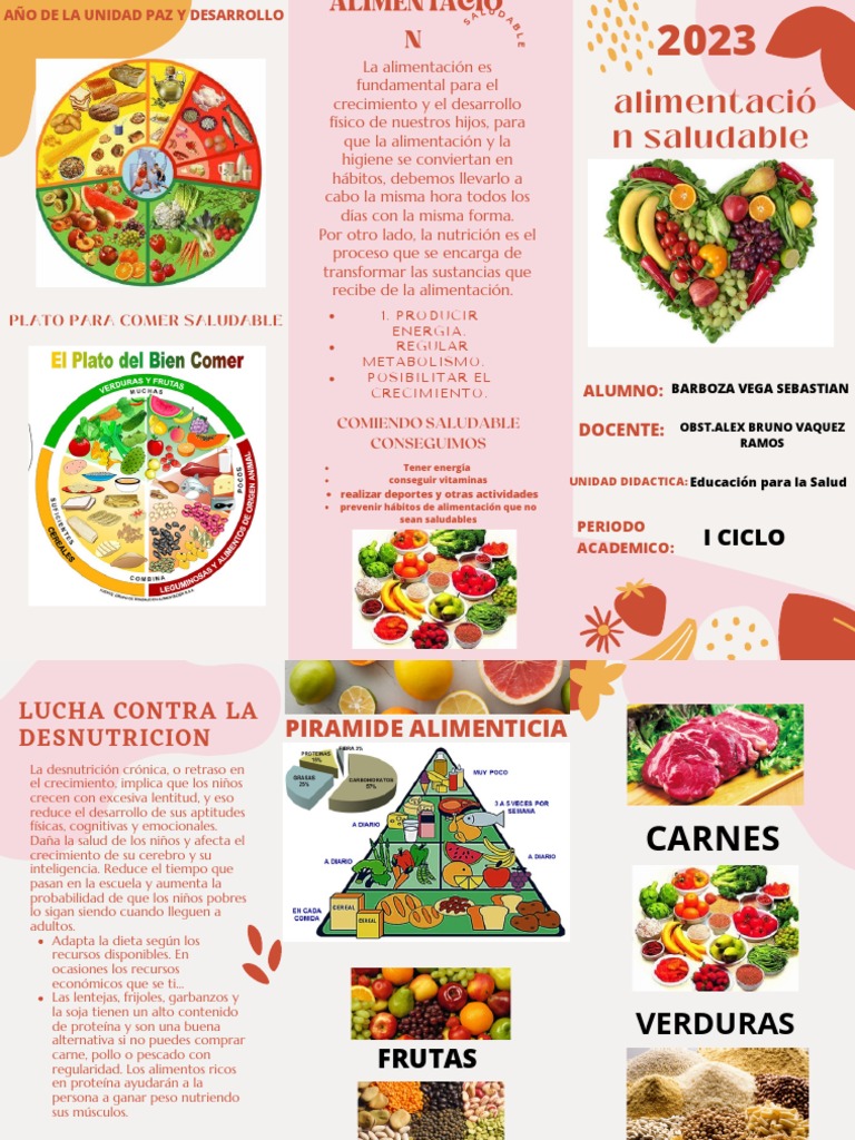 Folleto sobre Nutrición Alimentación Saludable Orgánico Delicado Rosa ...
