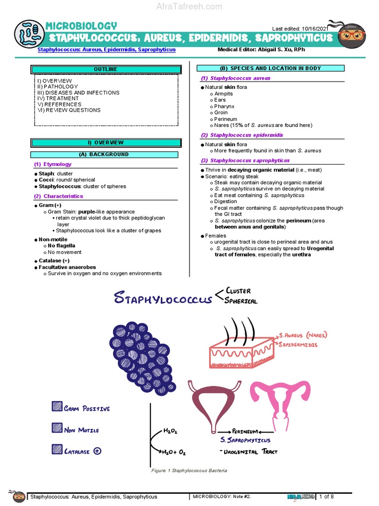 Staphylococcus Aureus Epidermidis Saprophyticus Atf Pdf Staphylococcus Aureus
