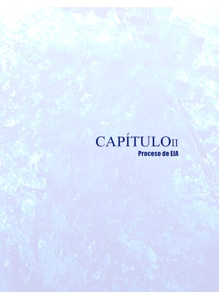 02.proceso de EIA | PDF | Evaluación de impacto ambiental | Entorno natural