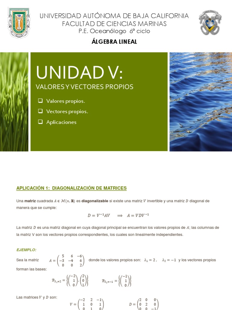UNIDAD 5 - VALORES VECTORES PROPIOS - Aplicación | Descargar gratis PDF | Valores propios y ...