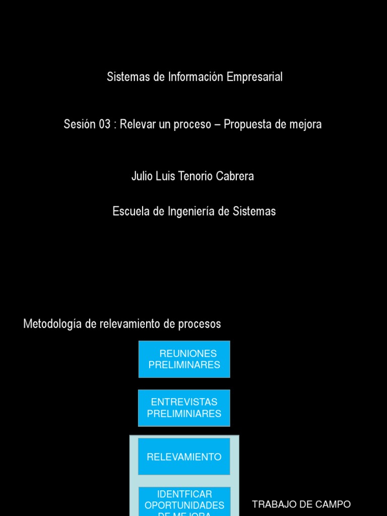 Relevar Un Proceso | PDF | Informática