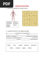 Sopa de Letras de Sistema Circulatorio | PDF
