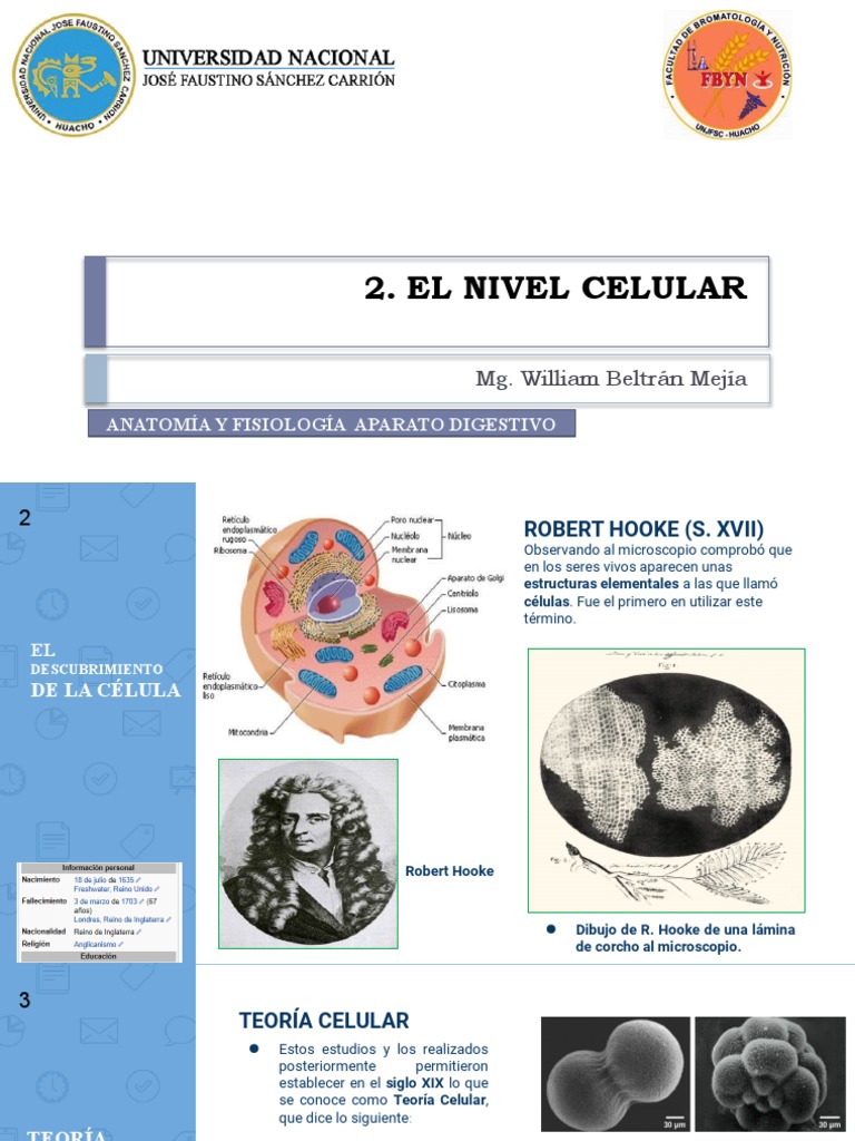 2 El Nivel Celular | PDF | Membrana celular | Biología Celular)