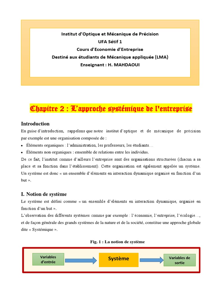 Approche systémique de l'entreprise | PDF | Business