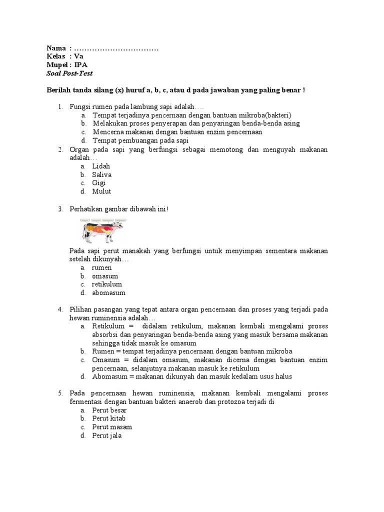 Soal Pretest Posttest 2 | PDF | Kajian Bahasa Asing | Sains & Matematika
