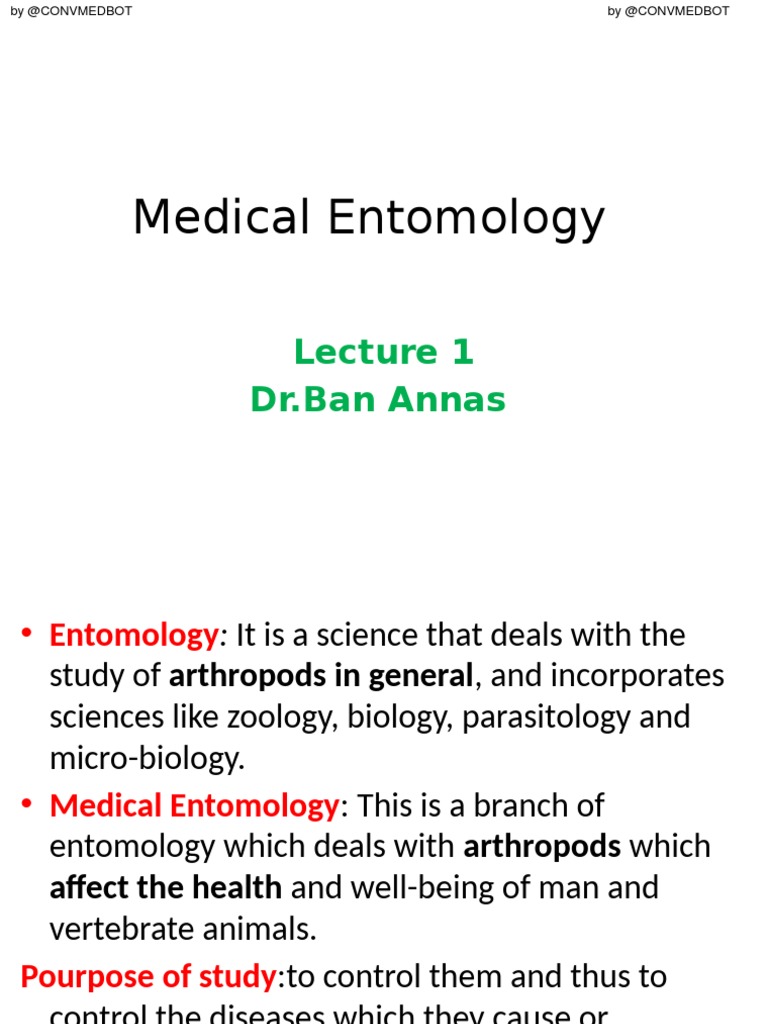 L37 Medical Entomology L1 | PDF | Insects | Fly