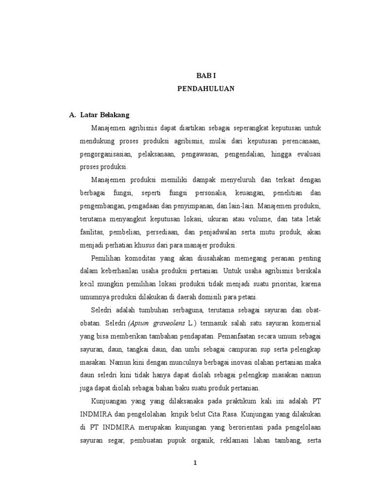 Laporan MPP Abis Revisi | PDF