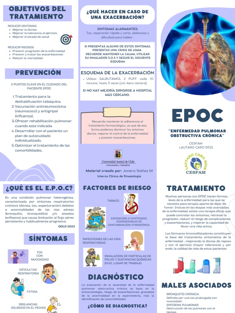 Triptico Epoc Javiera Ibañez | PDF | Bronquitis | Tos