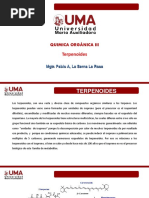 Tetraterpenos y Politerpenos: Funciones y Usos | PDF | Biología ...
