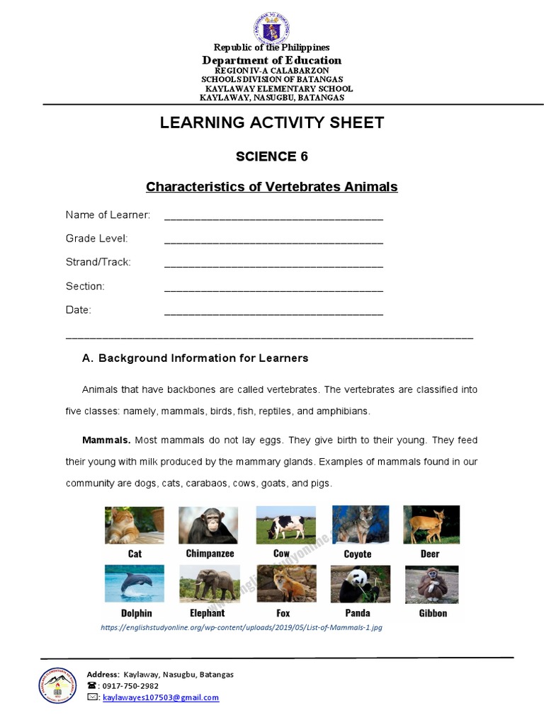 Science 6: Vertebrate Characteristics | PDF | Amphibian | Reptile