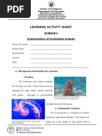 Vertebrates and Invertebrates Activity Sheets | PDF | Invertebrate | Blood