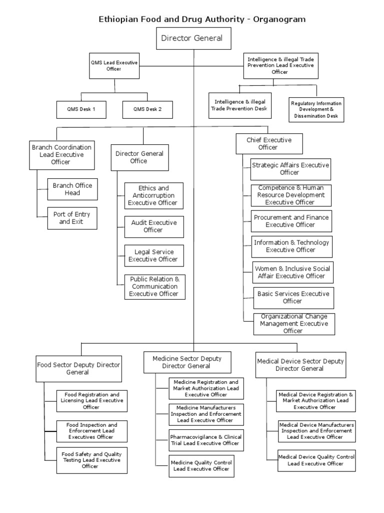 EFDA Organizational Structure Overview | PDF | Medical Device | Medicine