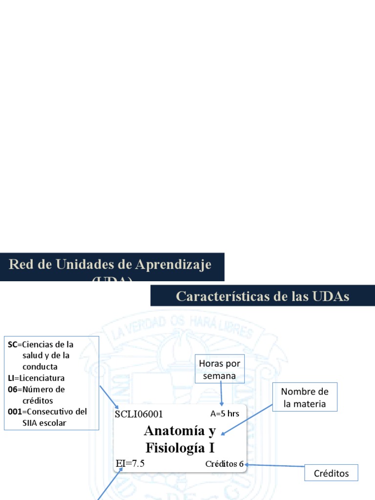 Red de Unidades de Aprendizaje (UDA) | PDF
