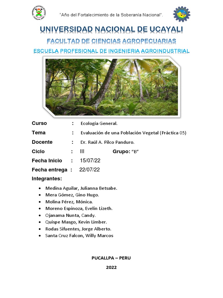 Practica 5 Terminado | PDF | Los bosques | Arboles