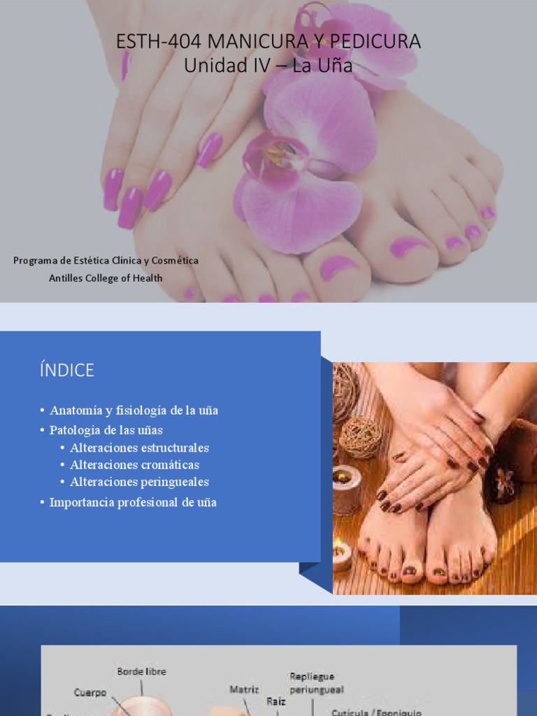 Httpsaulavirtual - Antillespr.edupluginfile - Php113313mod ...